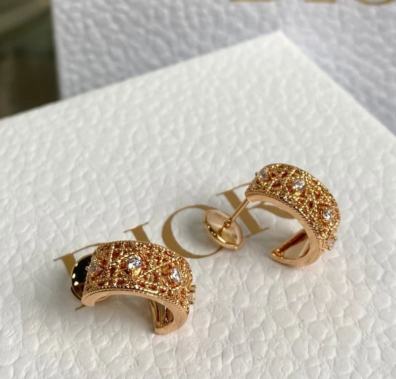 Christian Dior Earrings