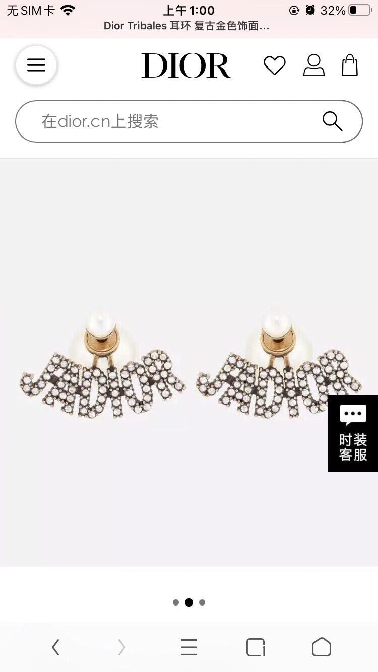 Brand-original Christian Dior Earrings
