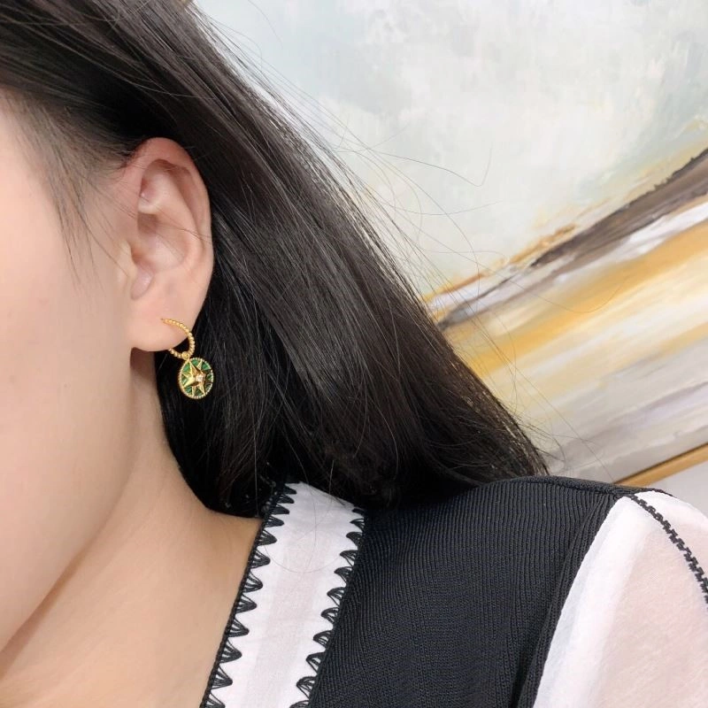 High accuracy Christian Dior Earrings