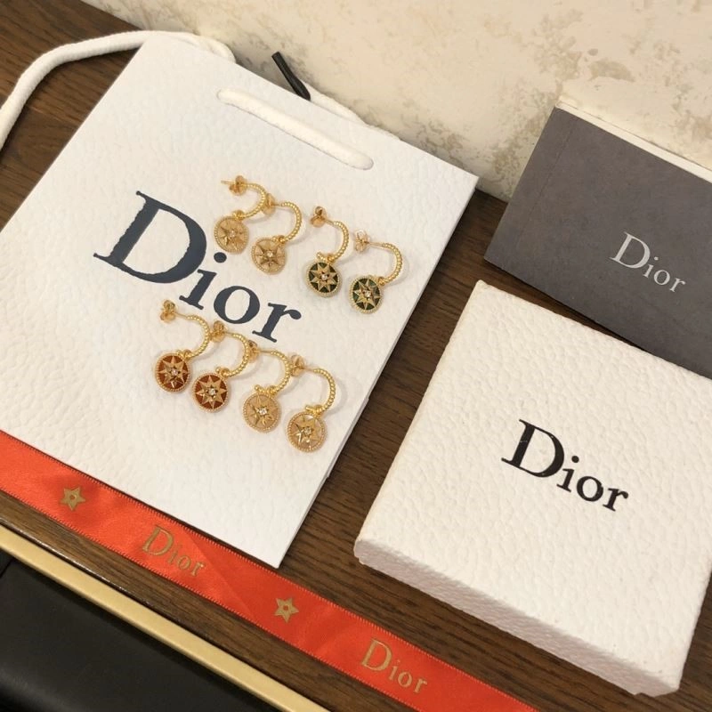 High accuracy Christian Dior Earrings