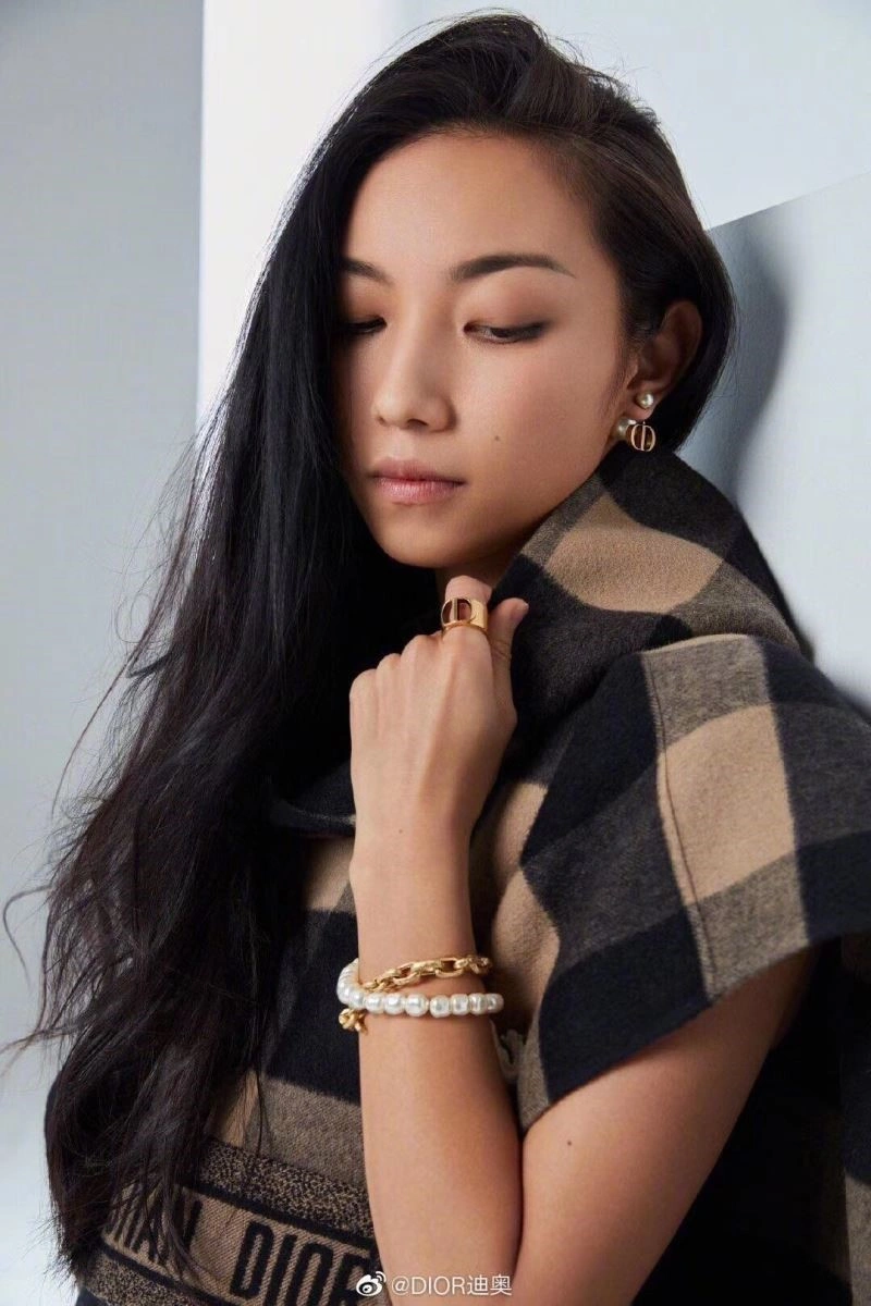 Accurate model Christian Dior Earrings