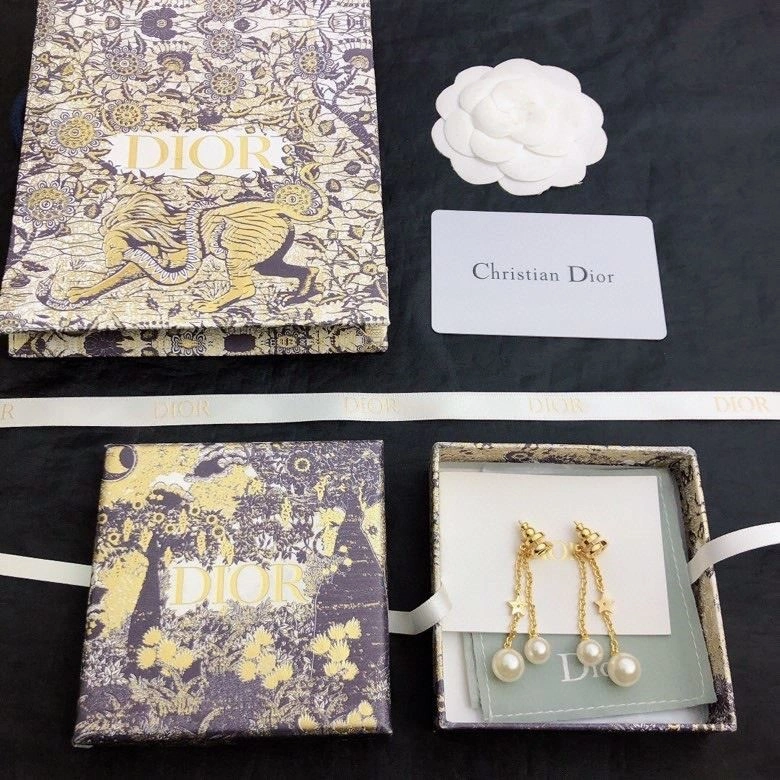 OEM Christian Dior Earrings