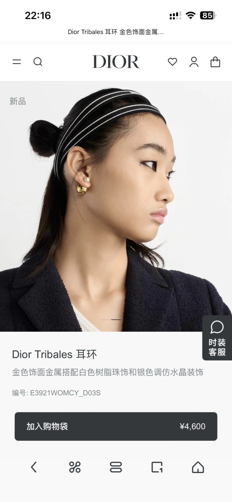 1:1 copy Christian Dior Earrings