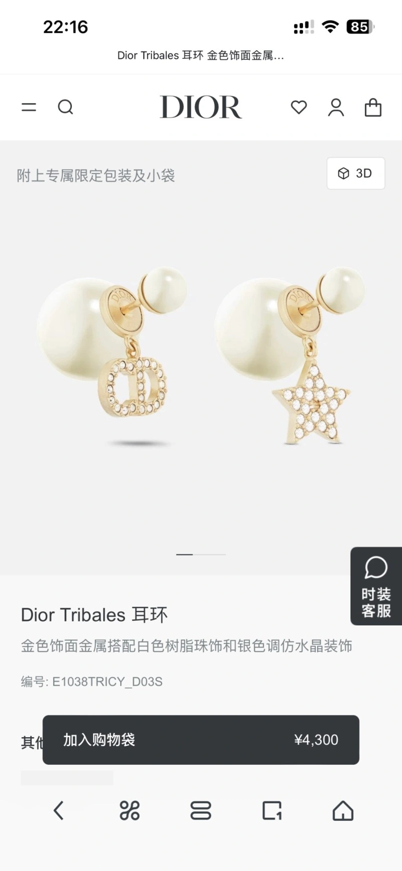 Christian Dior Earrings