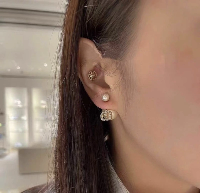Precise copy Christian Dior Earrings