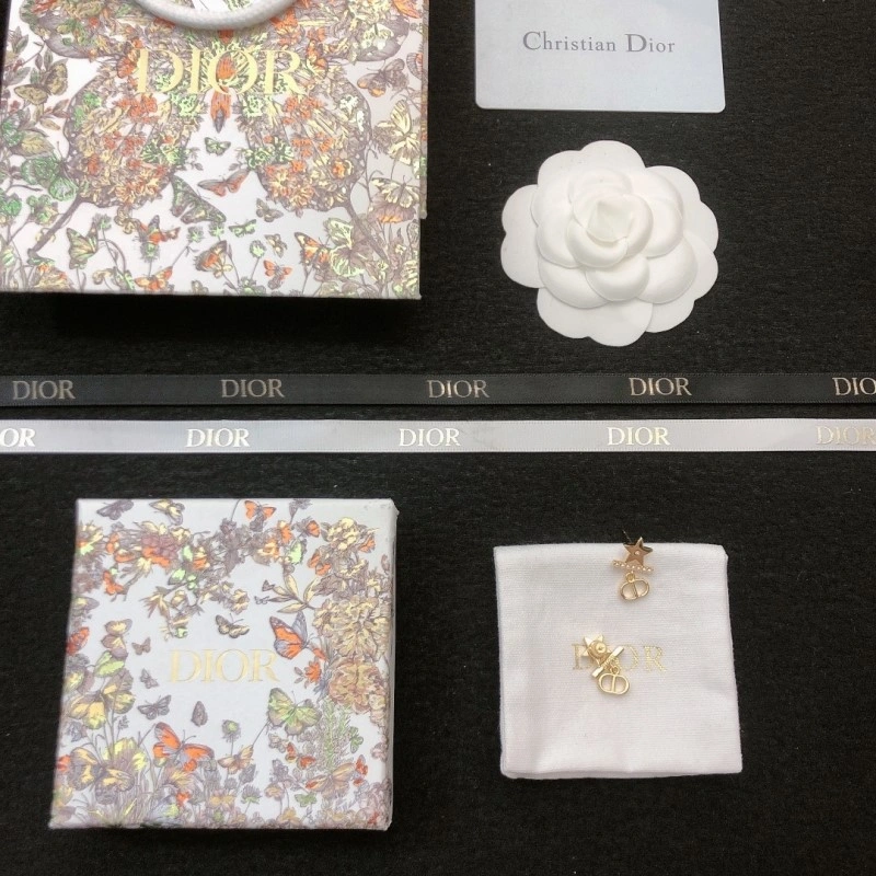 Top match Christian Dior Earrings