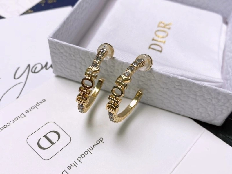 Brand-original Christian Dior Earrings