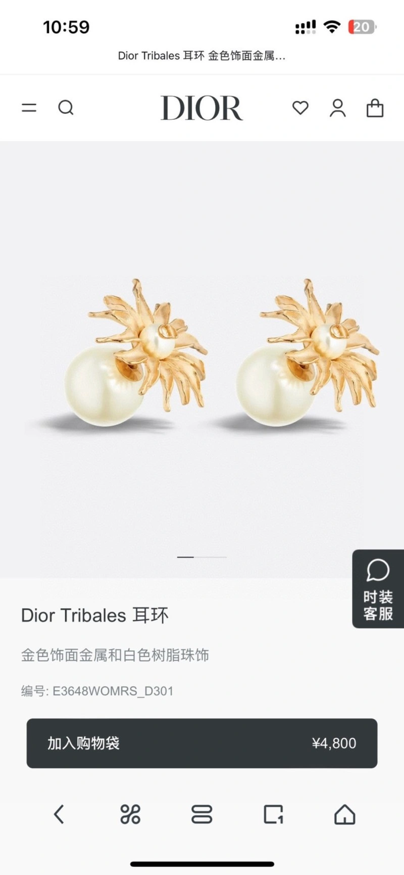 Affordable Christian Dior Earrings