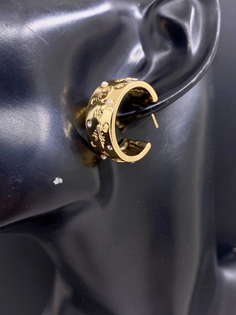 Precise copy Christian Dior Earrings