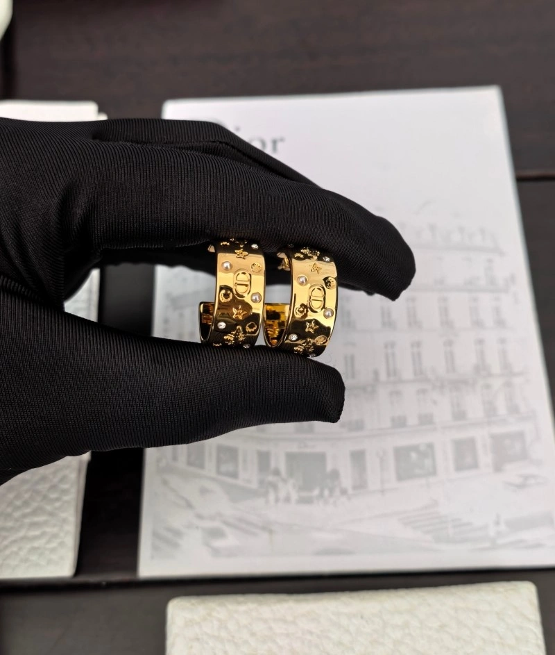 Precise copy Christian Dior Earrings