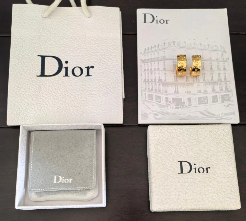Precise copy Christian Dior Earrings