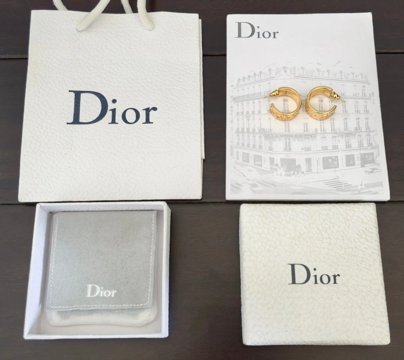 Precise copy Christian Dior Earrings