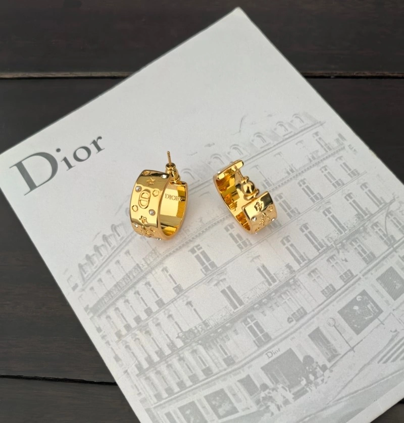 Precise copy Christian Dior Earrings