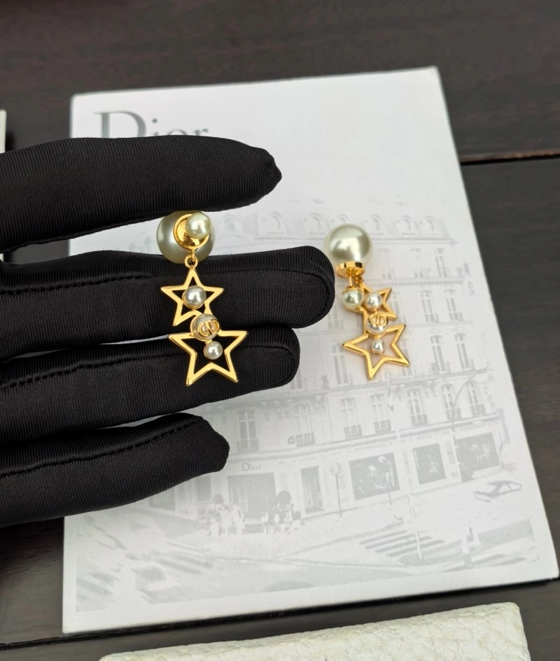 Mirror quality Christian Dior Earrings