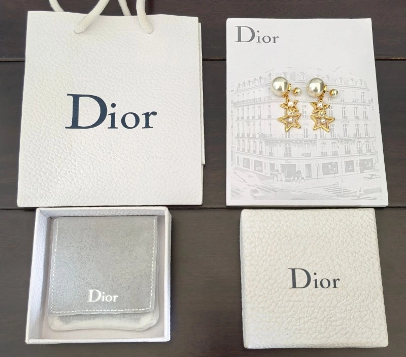 Mirror quality Christian Dior Earrings