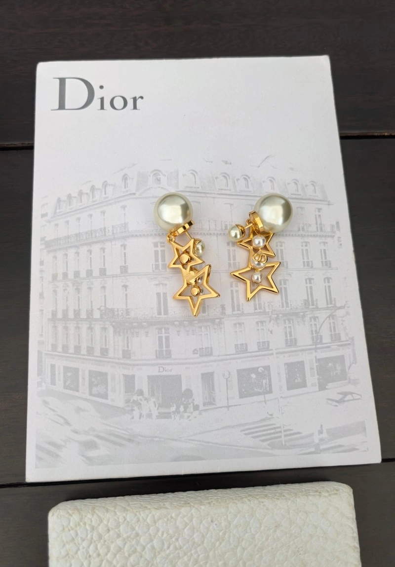 Mirror quality Christian Dior Earrings