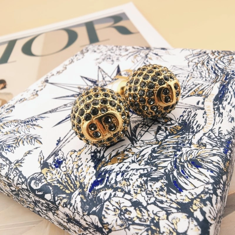 Accurate model Christian Dior Earrings