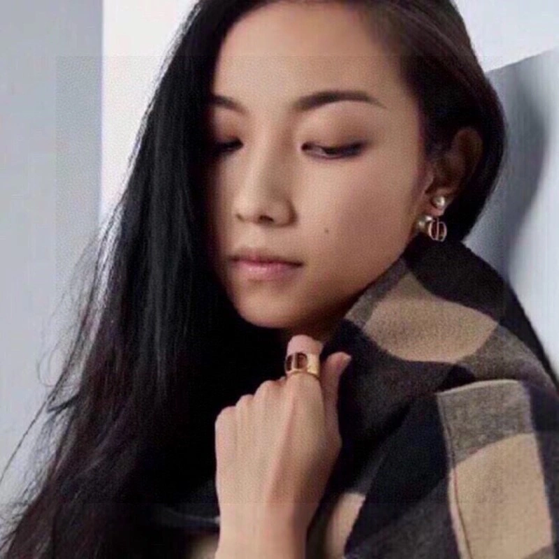 OEM Christian Dior Earrings