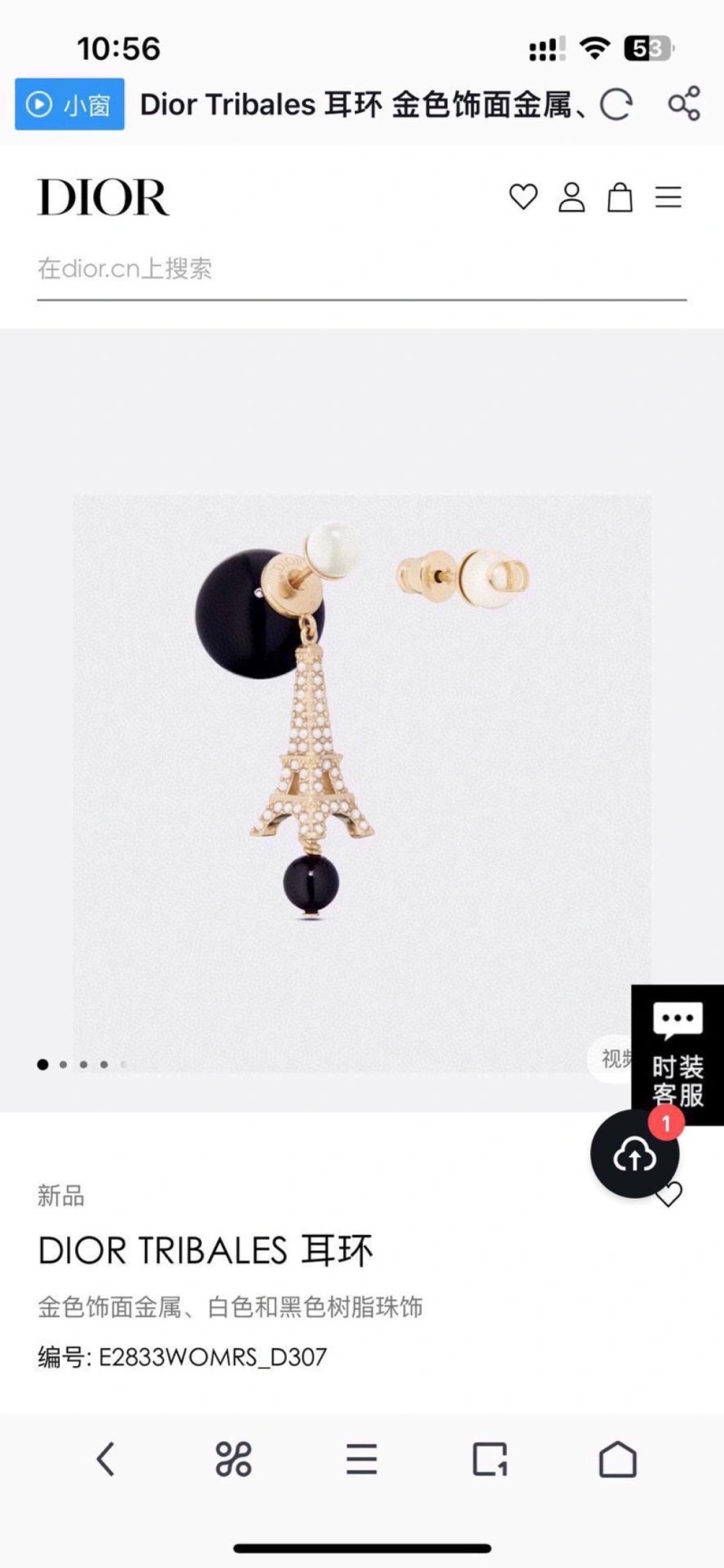 OEM Christian Dior Earrings