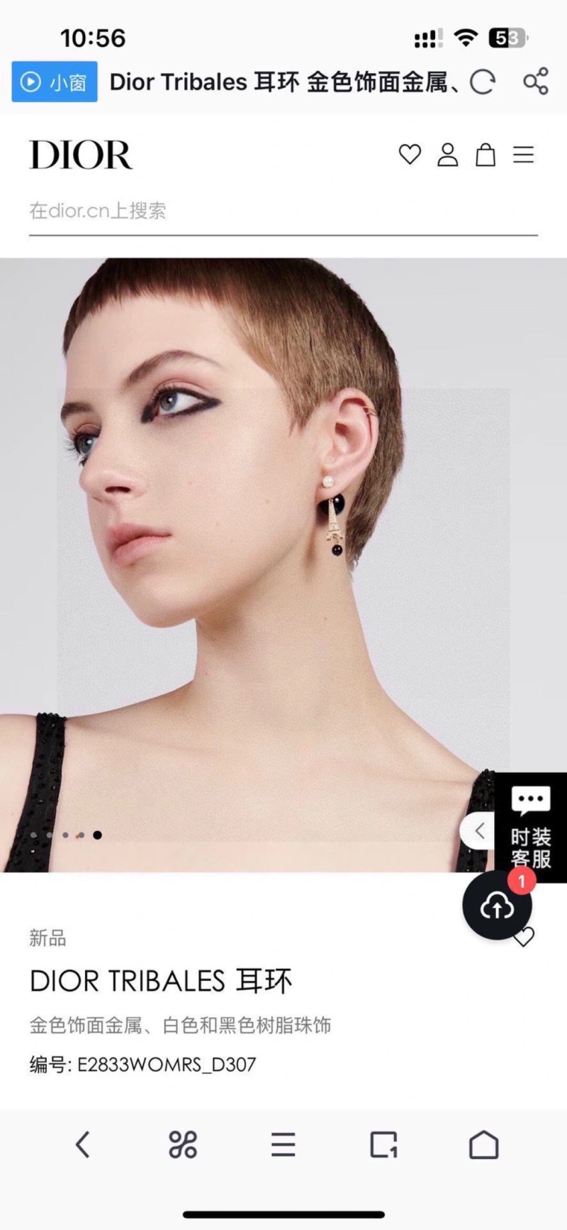 OEM Christian Dior Earrings
