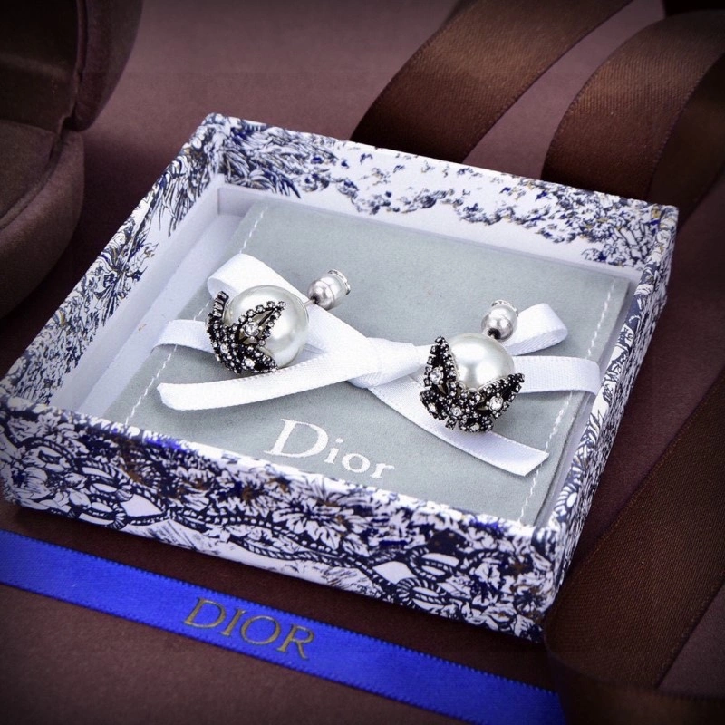 Christian Dior Earrings