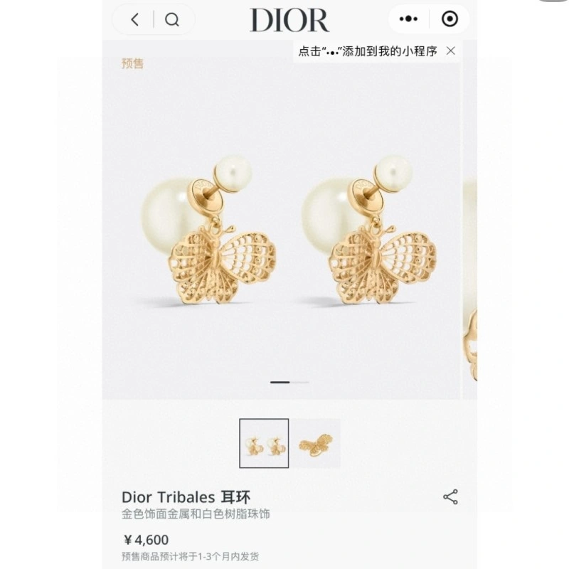 Cut-rate Christian Dior Earrings