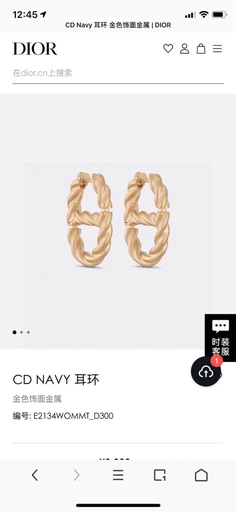 Economical Christian Dior Earrings
