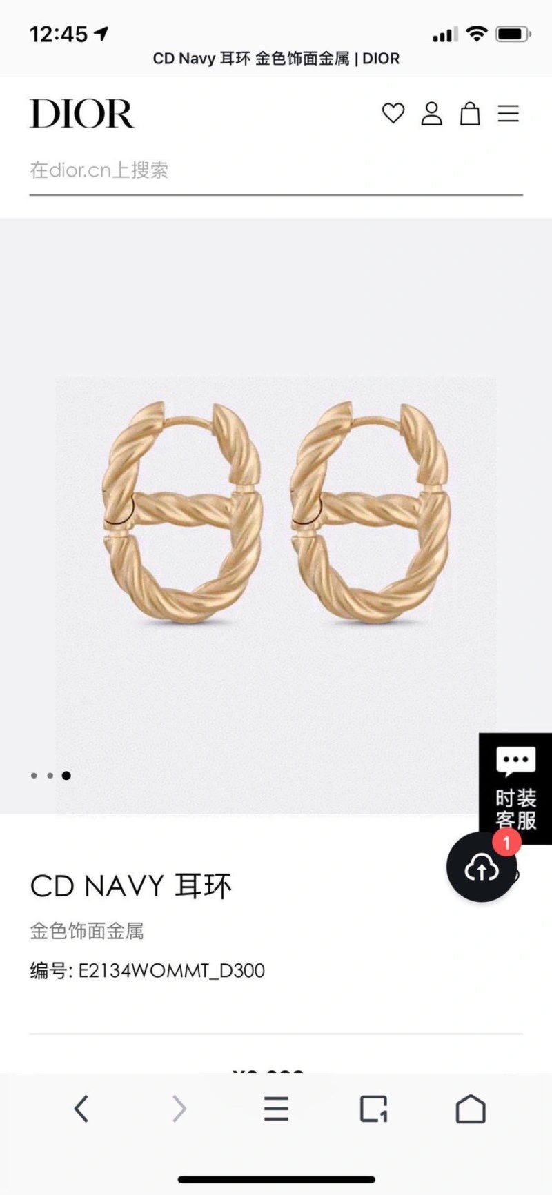 Economical Christian Dior Earrings