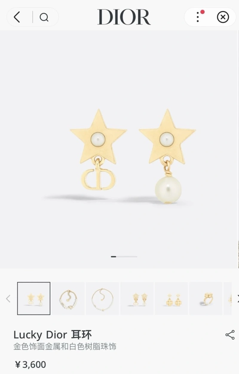 Indistinguishable Christian Dior Earrings