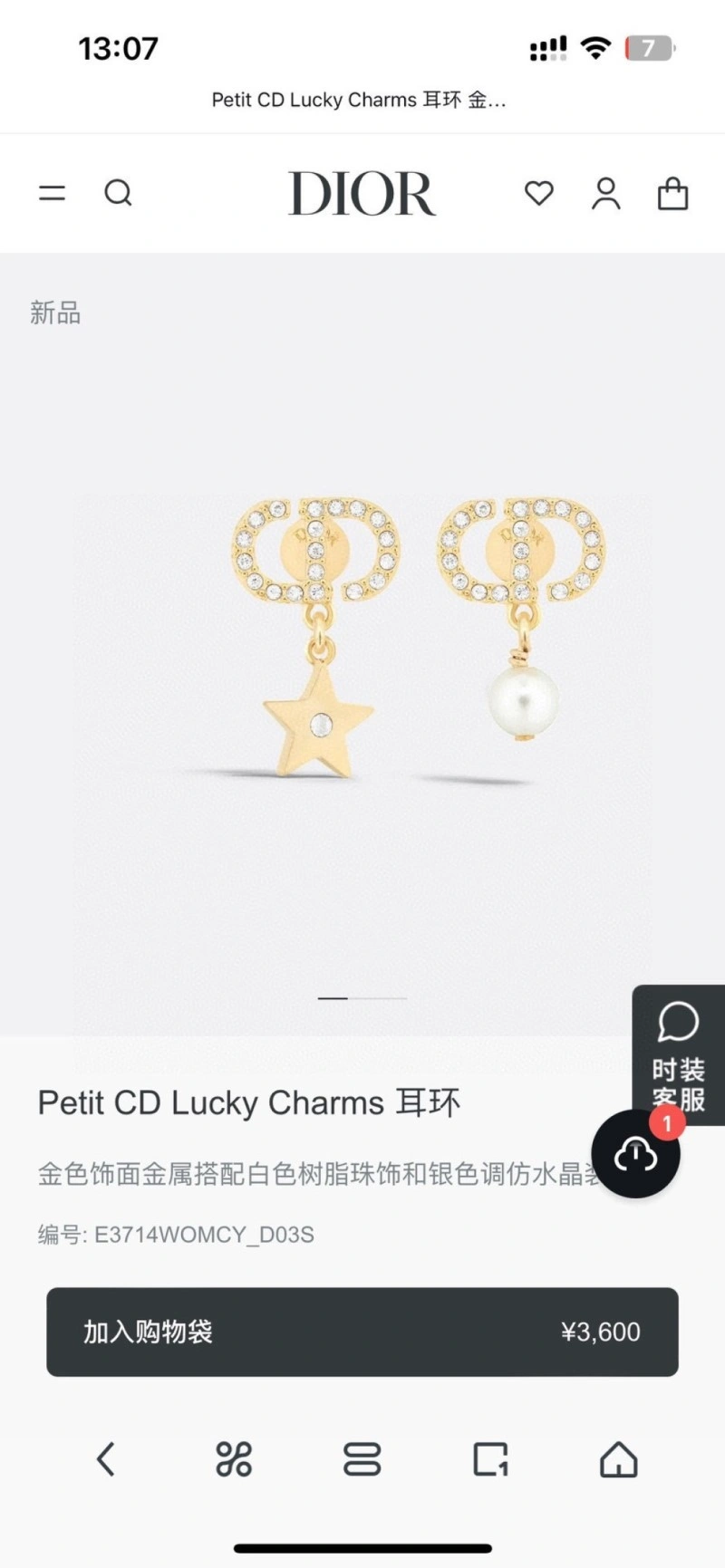 Christian Dior Earrings