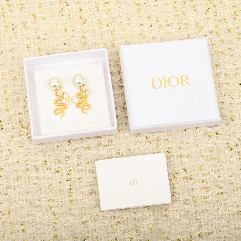 Christian Dior Earrings