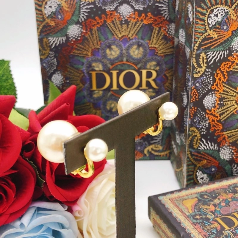 Legit Christian Dior Earrings
