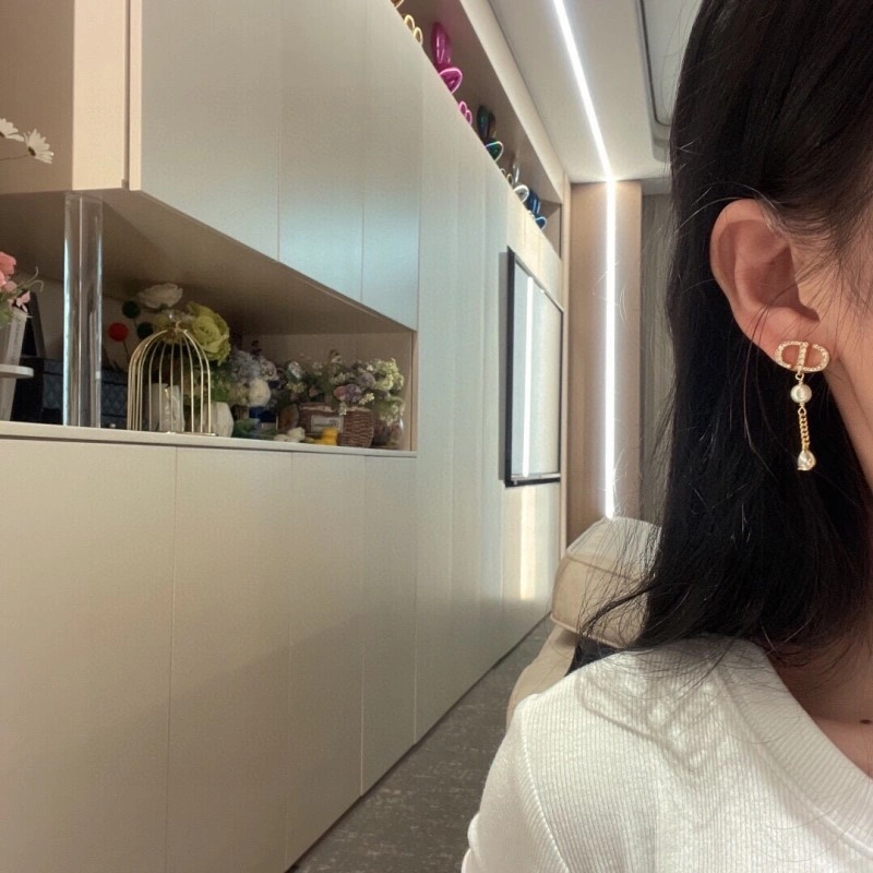 1:1 copy Christian Dior Earrings