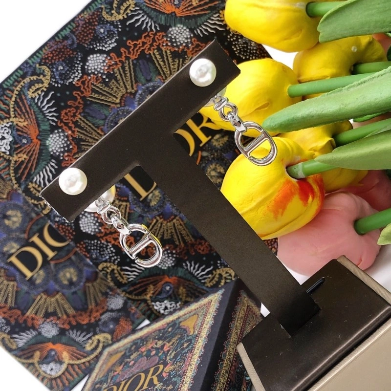 High accuracy Christian Dior Earrings