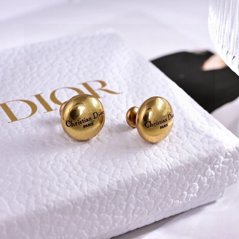 Brand-original Christian Dior Earrings