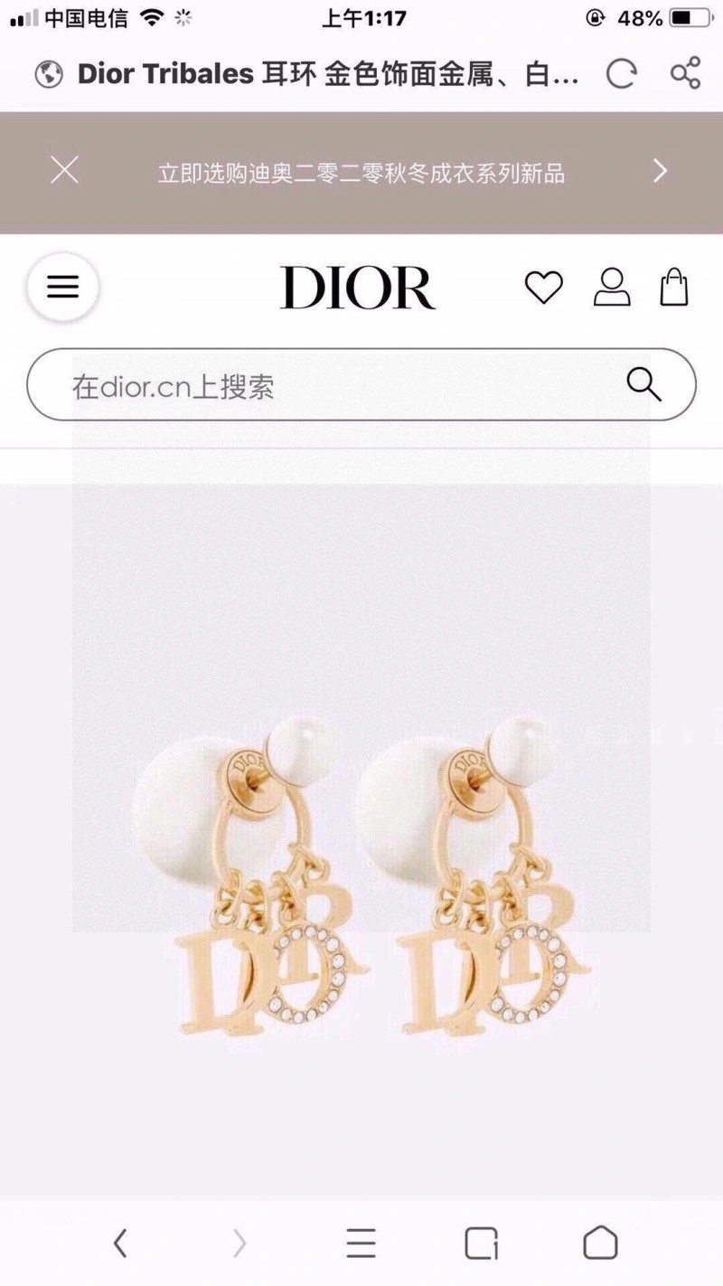 Indistinguishable Christian Dior Earrings