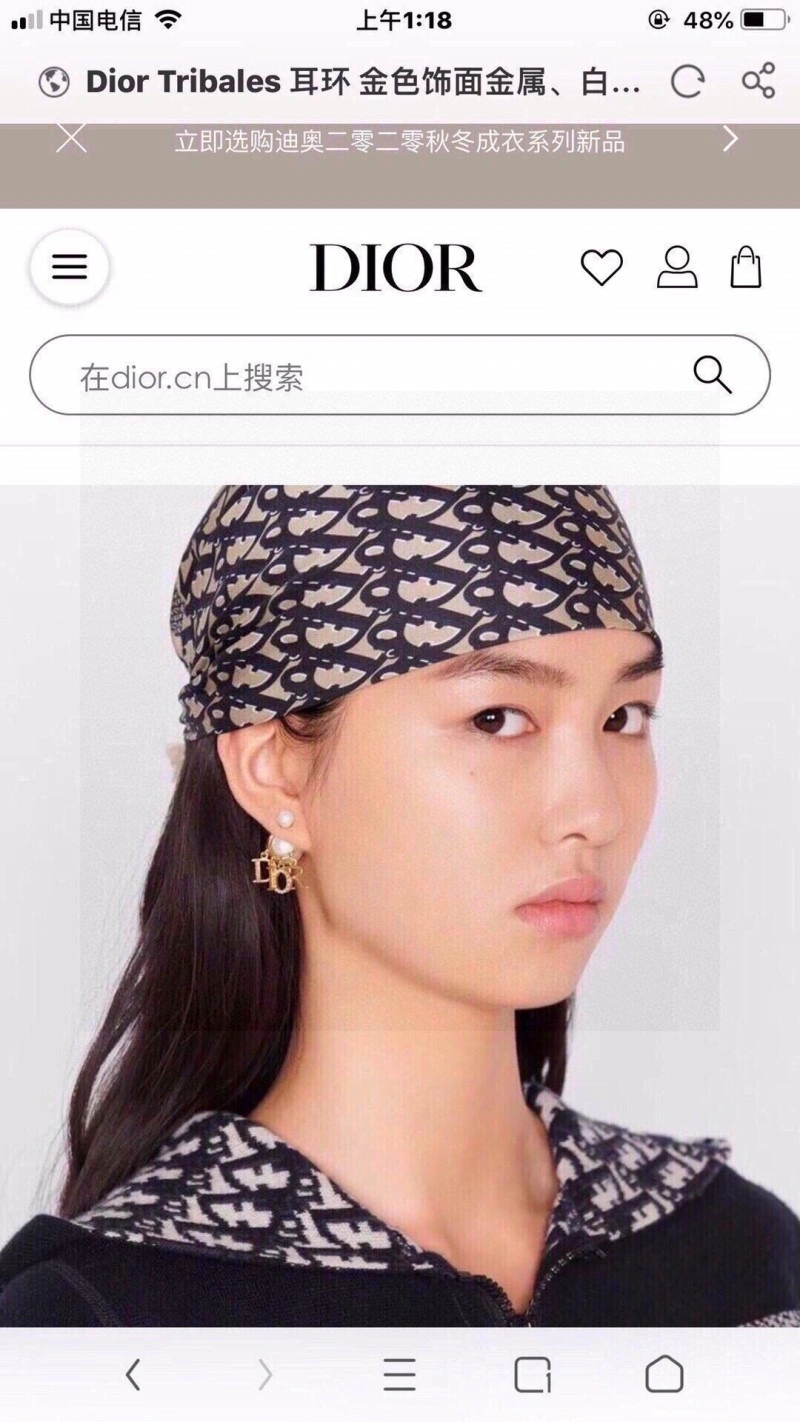 Indistinguishable Christian Dior Earrings