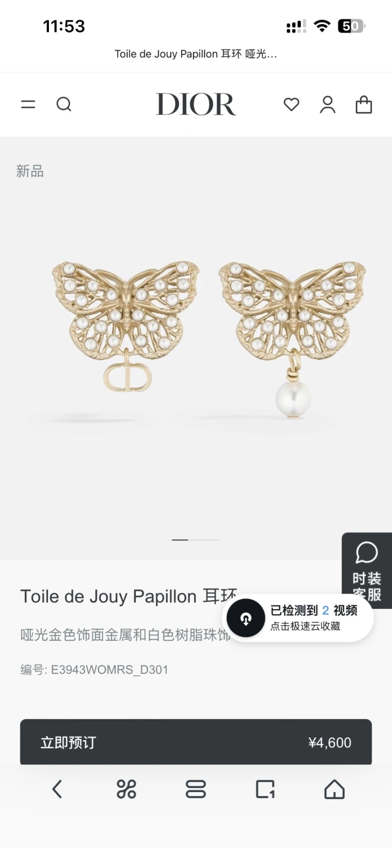 Christian Dior Earrings