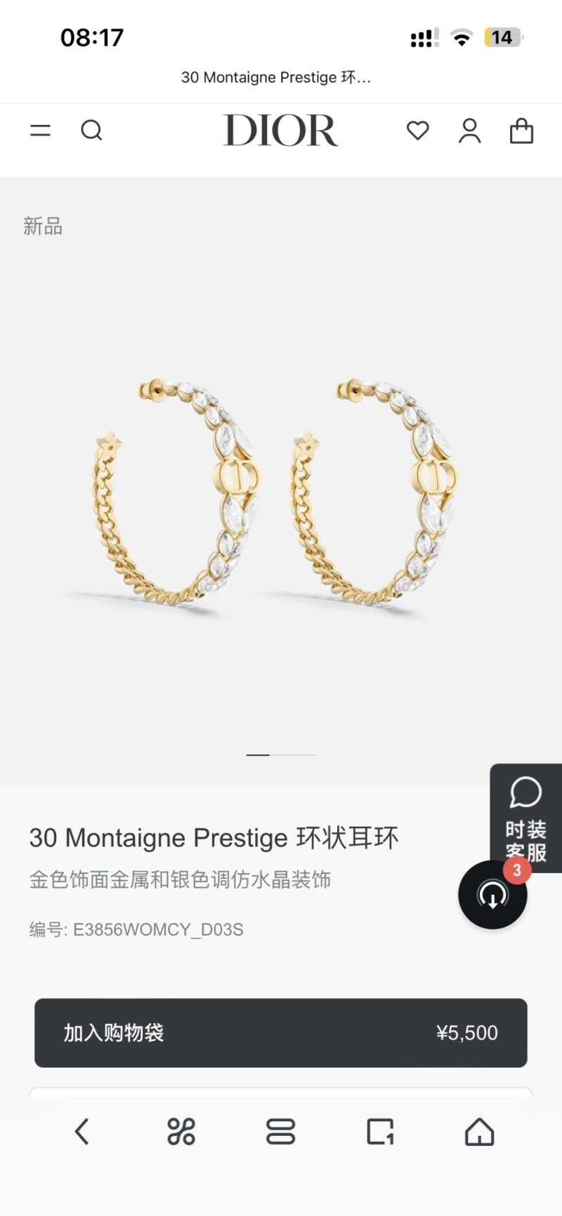 Christian Dior Earrings