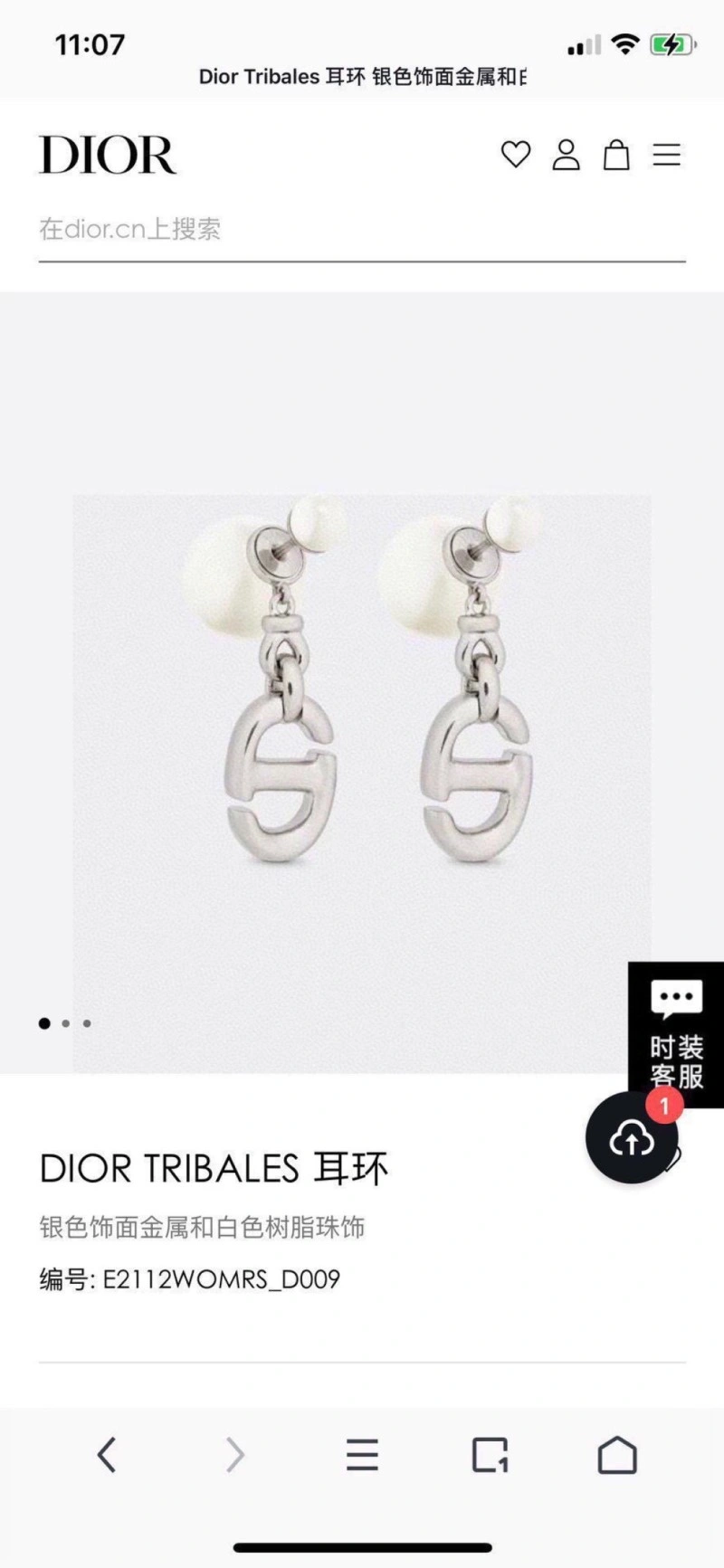Cut-rate Christian Dior Earrings