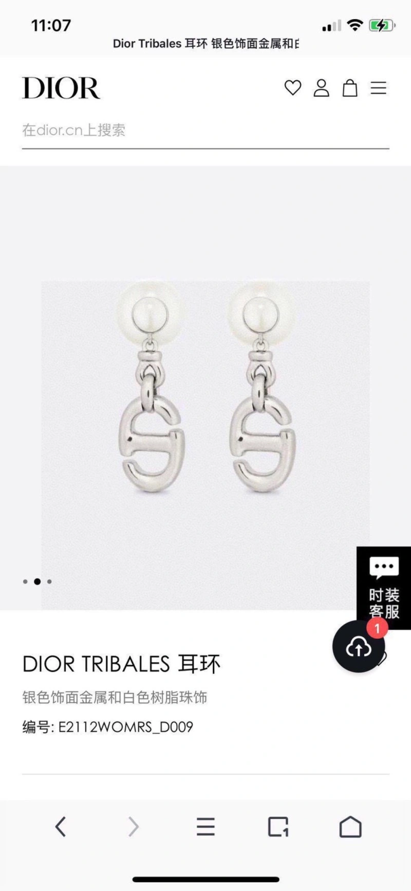 Cut-rate Christian Dior Earrings