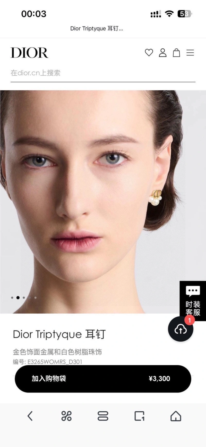OEM Christian Dior Earrings