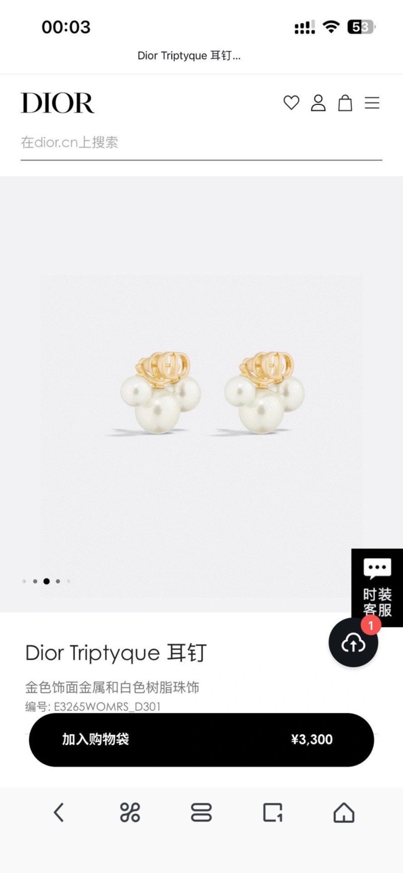 OEM Christian Dior Earrings