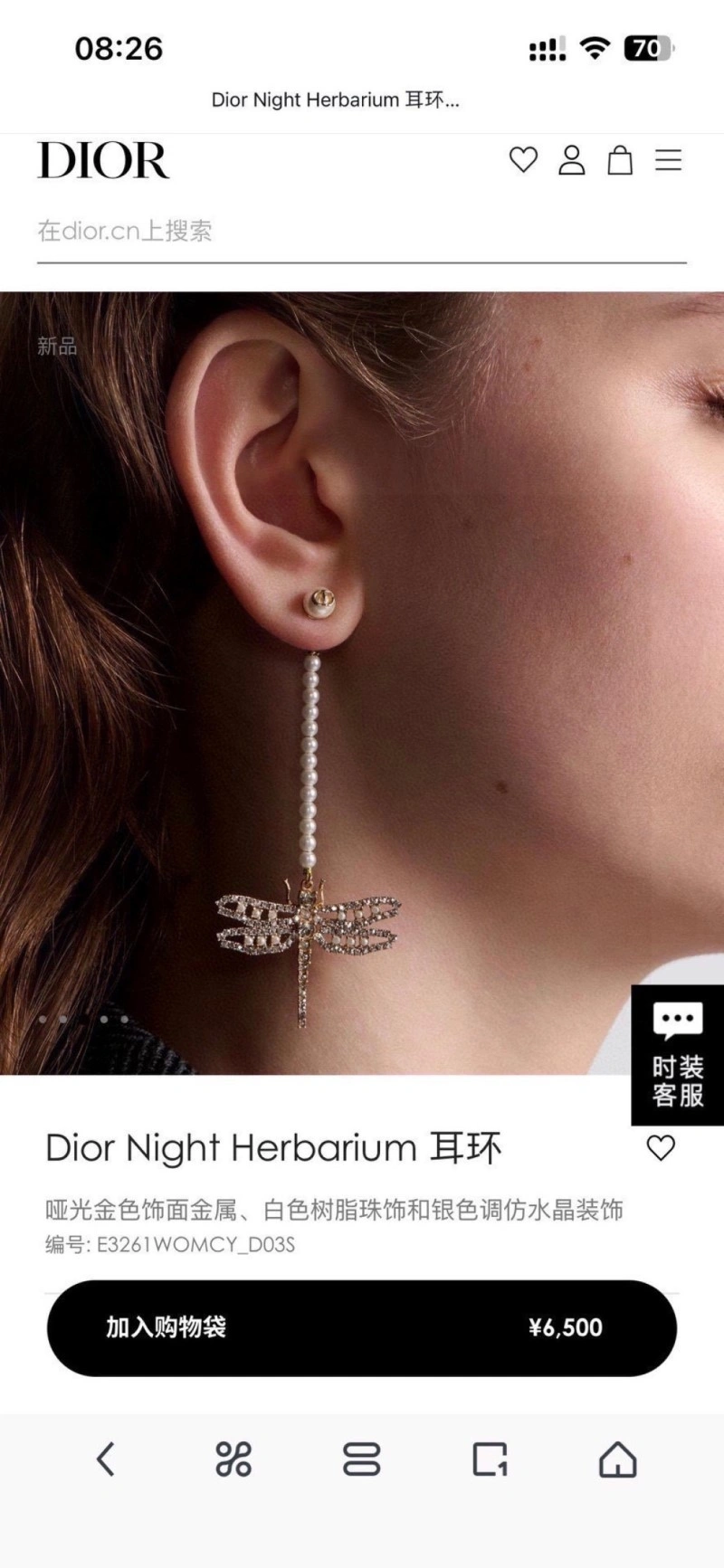 Inexpensive Christian Dior Earrings