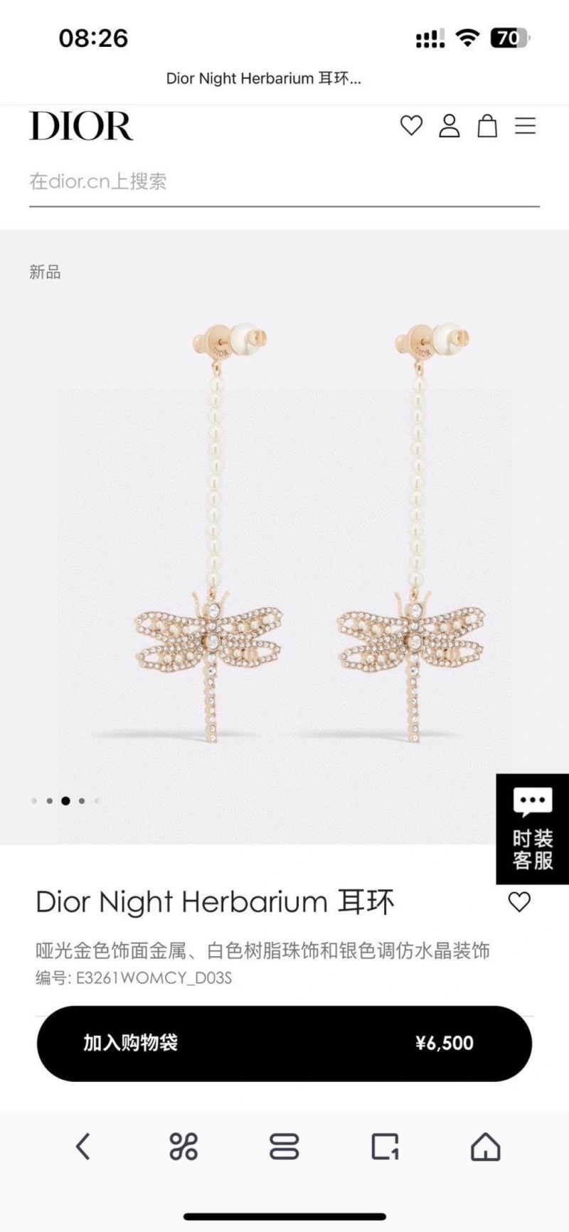Inexpensive Christian Dior Earrings