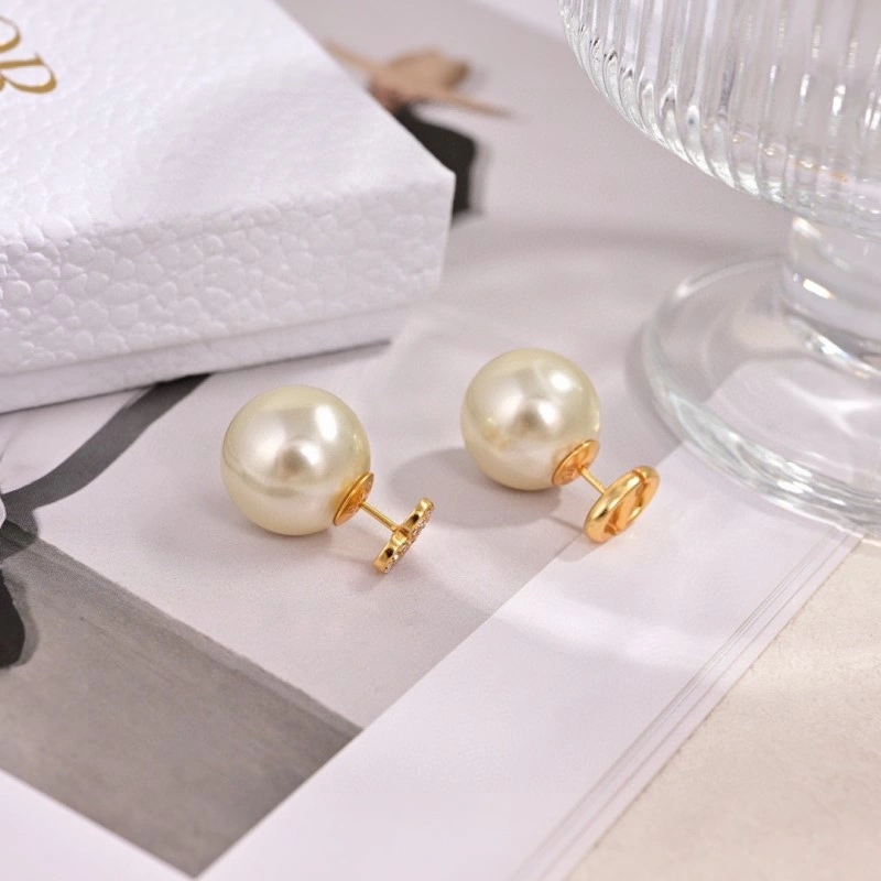 Cut-rate Christian Dior Earrings