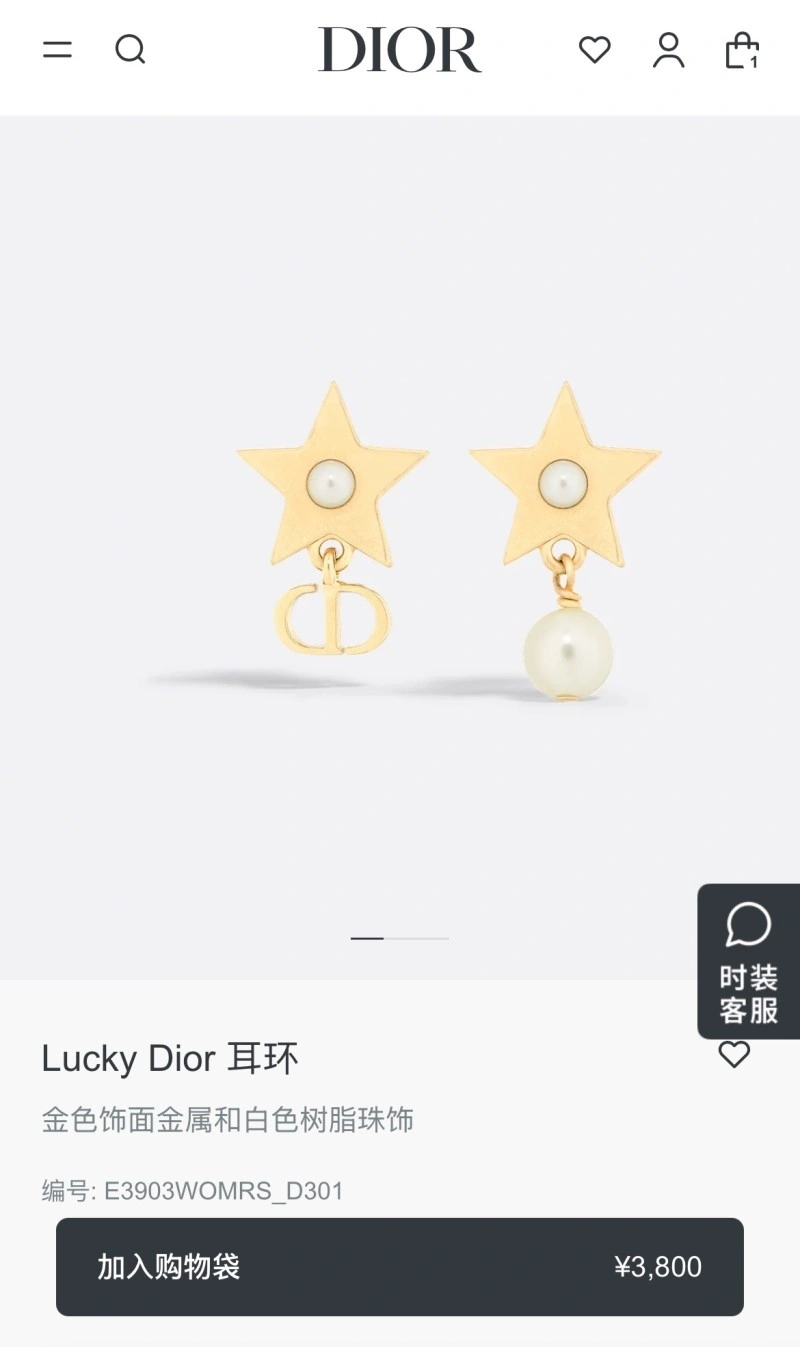 High accuracy Christian Dior Earrings