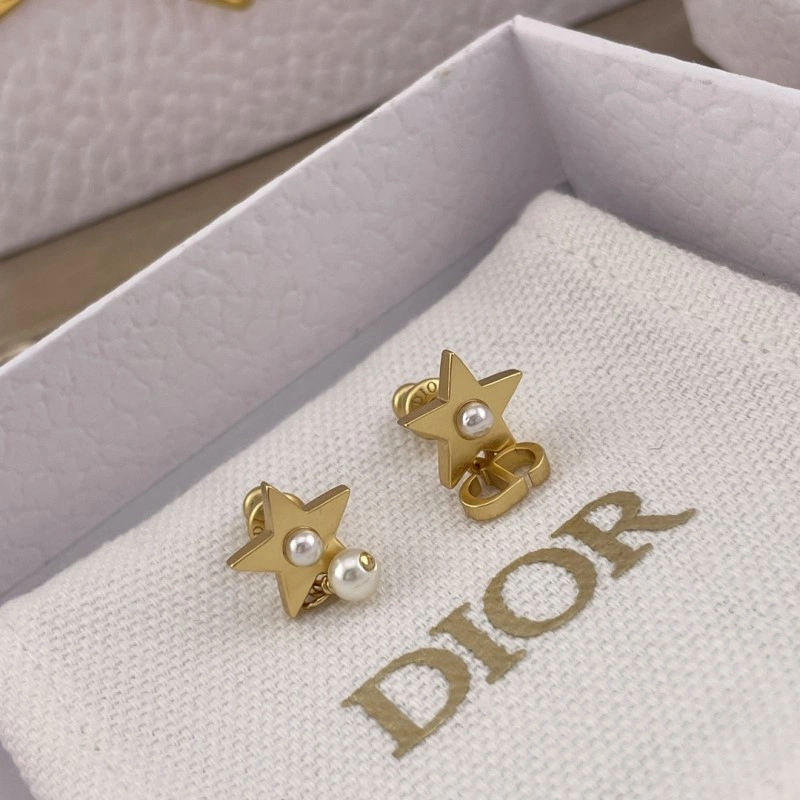 High accuracy Christian Dior Earrings