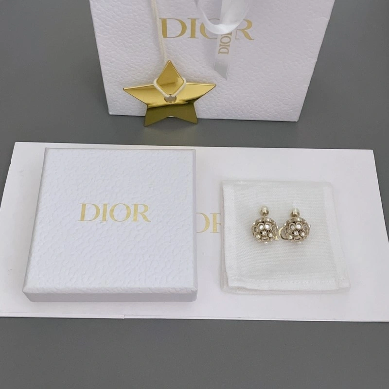 Christian Dior Earrings