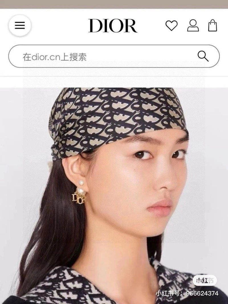 Exact replica Christian Dior Earrings